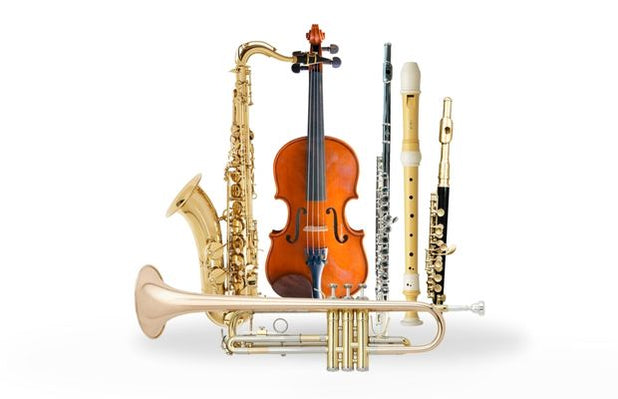 Music Man Australia: Shop for Musical Instruments, DJ Equipment & more
