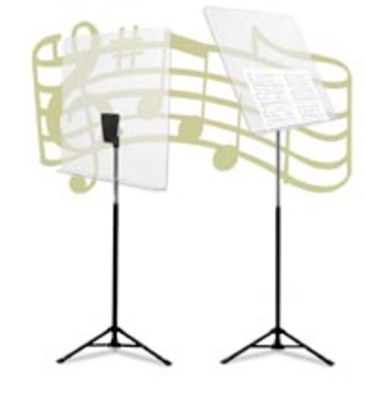 ACOUSTIC SHIELD — Music Man Australia