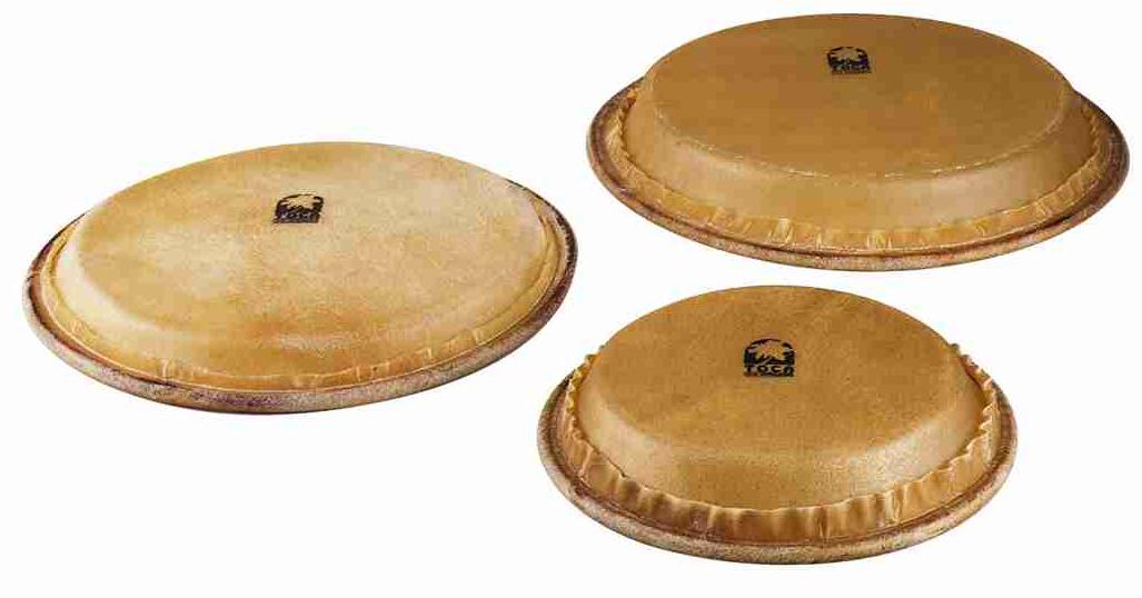 TOCA PERCUSSION 13 INCH CONGA HEAD LE/CUSTOM — Music Man Australia